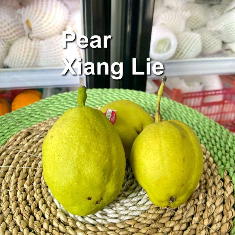 Jual Pir Xianglie Termurah - Harga Grosir Terupdate Hari Ini | Blibli