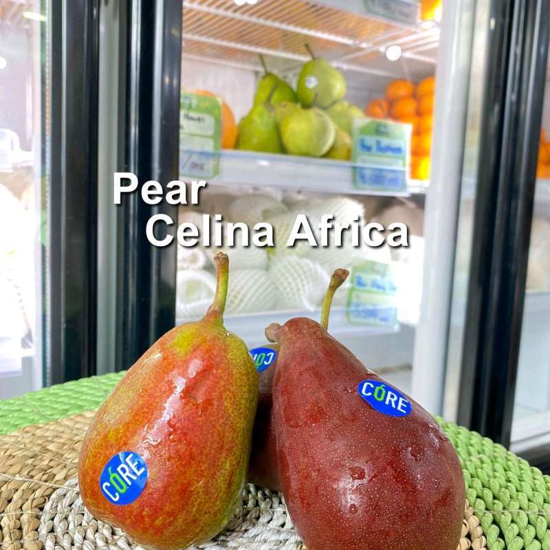 Jual Pear Celina Halal di Seller Raja Buah Bandung - Cigugur Girang ...