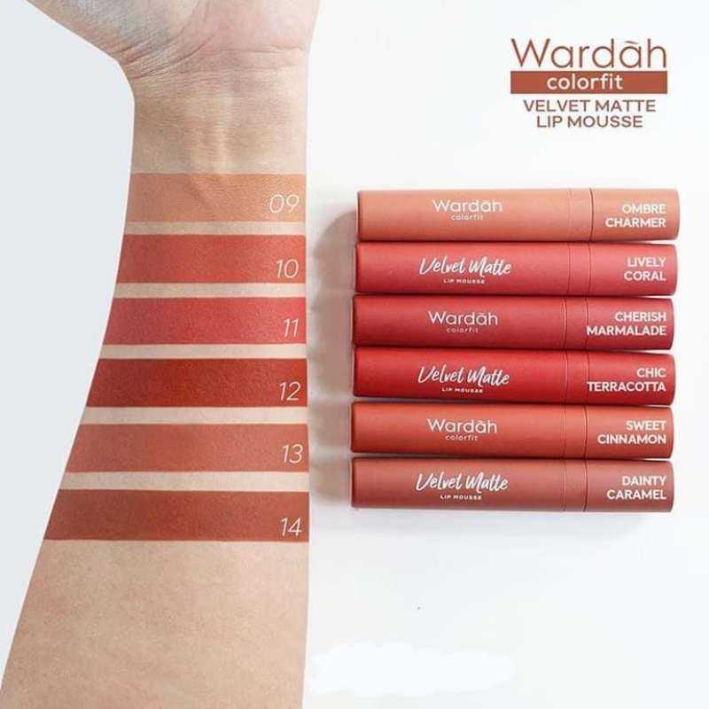Promo Wardah Colorfit Velvet Earthy Collection Matte Lip Mousse Diskon ...