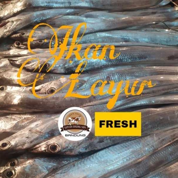 Jual Ikan Layur Segar / Fresh 1.0kg Halal Di Seller Suplier Daging Sapi ...