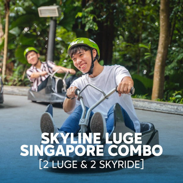 Jual Luge Skyline - Pilihan Harga Termurah Di 2024 | Blibli