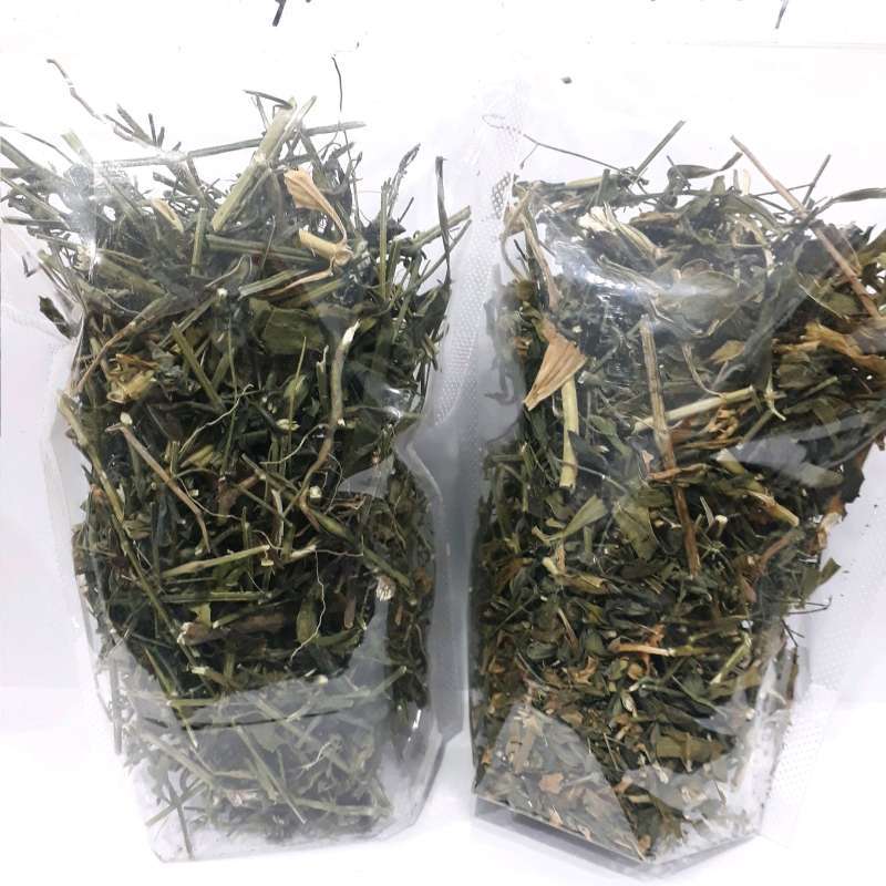 Promo Teh Daun Sambiloto Kering, Herbal Diabetes/gula Darah/panas Dalam ...