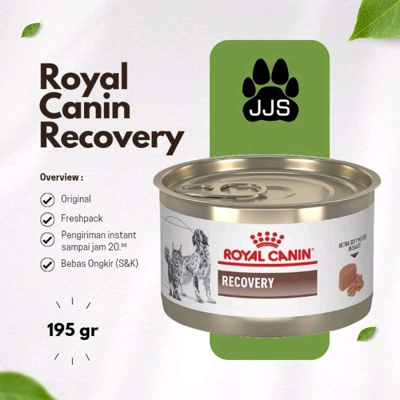 Jual Royal Canin Recovery Wet Food 195gr Makanan Basah Pemulihan ...
