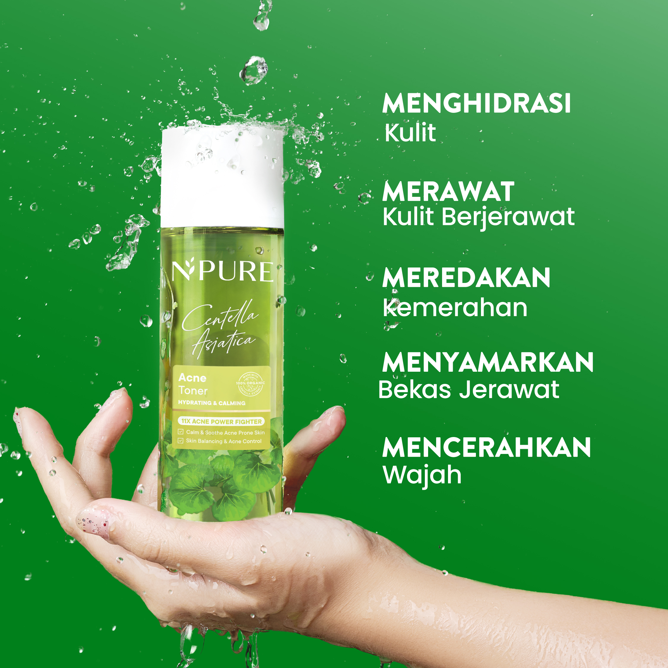 Promo Npure Face Toner Centella Asiatica Diskon 10% Di Seller Npure Official Store - Gudang ...