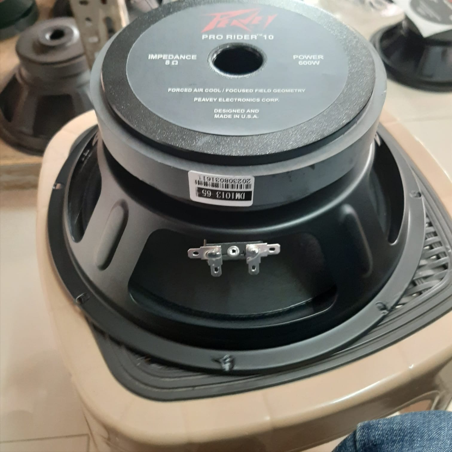 Promo Speaker Peavey 10 Inci Pro Rider 600 Watt Komponen Diskon 15% Di ...