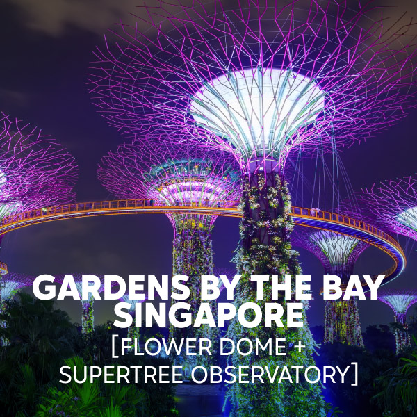 Promo Gardens by the Bay Singapore Flower Dome + Supertree Observatory Diskon 12% di Seller ...