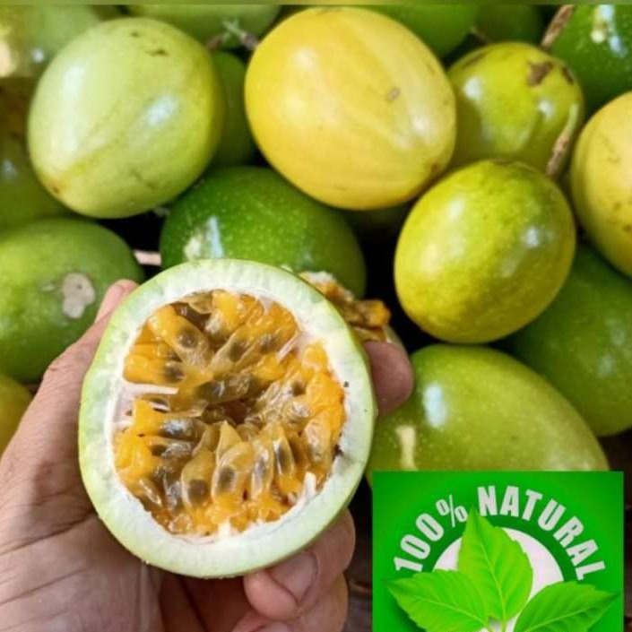 Buah Markisa 1 Kg Gratis Ongkir 🔥 Harga Murah April 2026