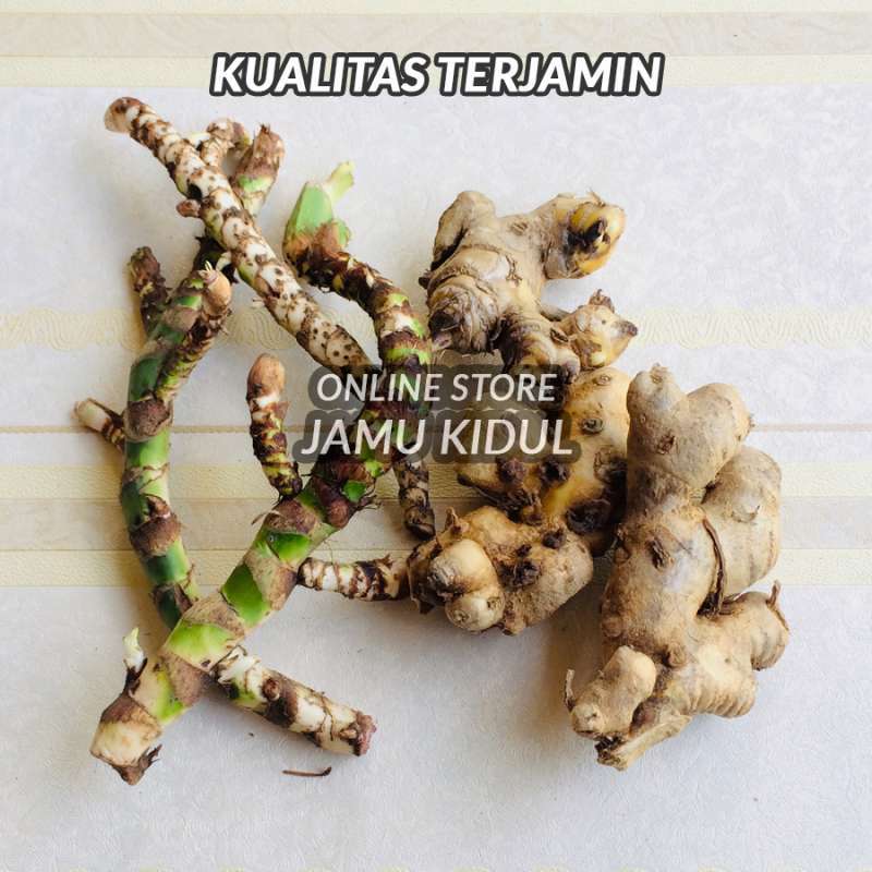 Promo Dlingo Dan Bengle/bangle/panglai Segar Untuk Sawan 250gr Diskon ...