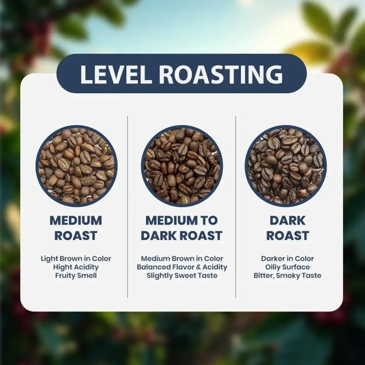 Jual Kopi Indibro Single Origin Papua Wamena - 100gr, 200gr, 1kg | 100% ...