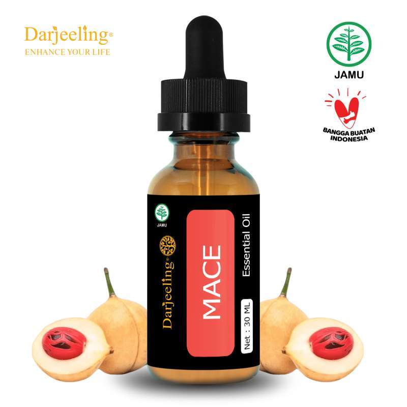 Mace Oil Lengkap Harga Terbaru April 2024 | Blibli
