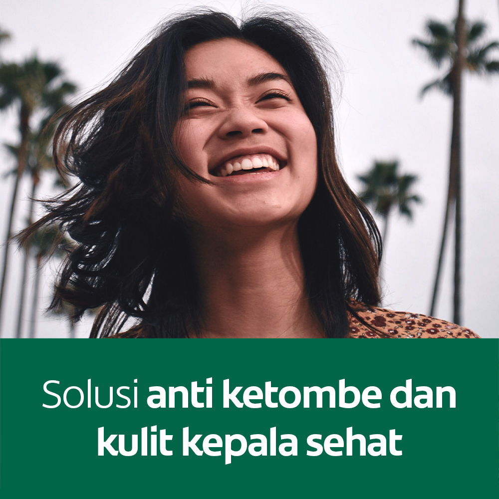 Promo Palmolive Naturals Anti Dandruff Tea Tree And Eucalyptus Shampoo ...