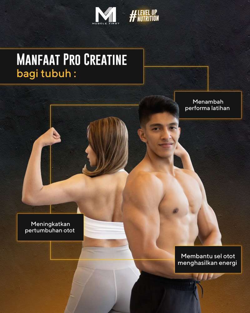 Jual Muscle First Pro Gold Creatine Peach 360gr - Menambah Massa Otot ...