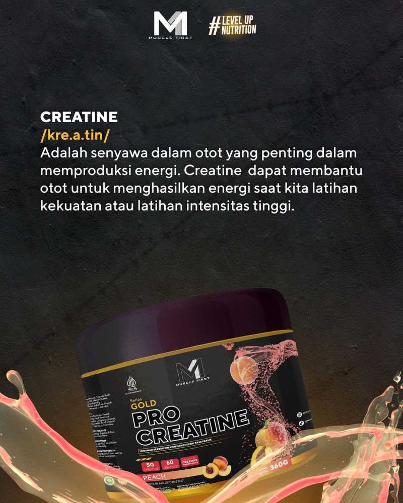 Jual Muscle First Pro Gold Creatine Peach 360gr - Menambah Massa Otot ...