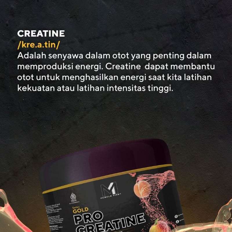 Promo Muscle First Pro Gold Creatine Tropical Fruit 360gr - Menambah ...
