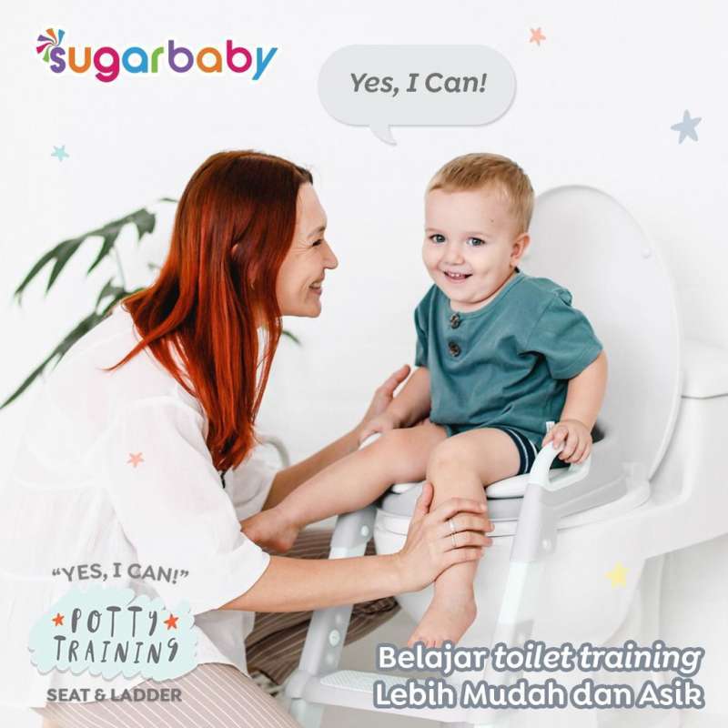 Jual Sugar Baby Potty Training Seat And Ladder Pispot Bayi Di Seller ...