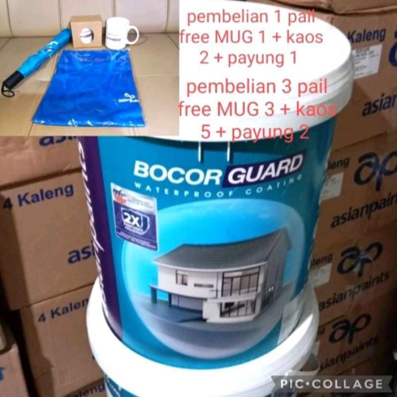 Jual Pelapis Anti Bocor / Guard Asian Paints 20kg - Abu Abu Muda Di ...
