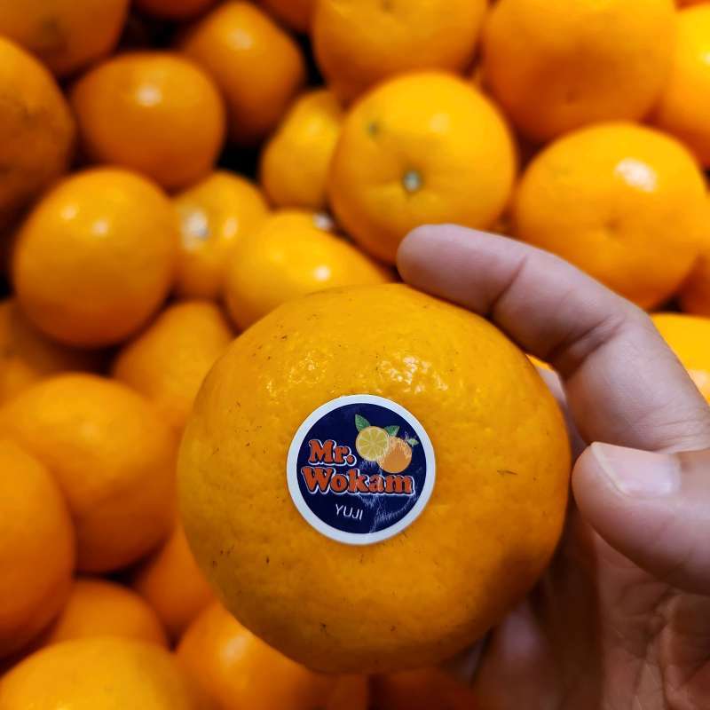 Jual JERUK WOKAM MANDARIN 1KG di Seller Vifarm Market - Sendangadi, Kab. Sleman | Blibli