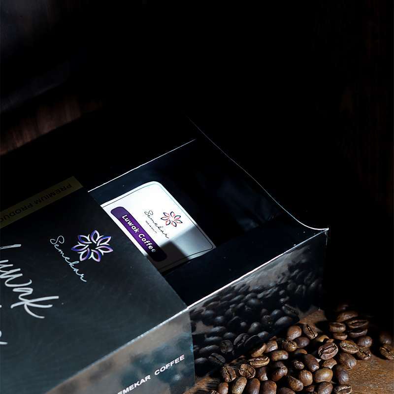 Jual Kopi Luwak Liar Coffee Arabica Specialty Grade Premium Box ...