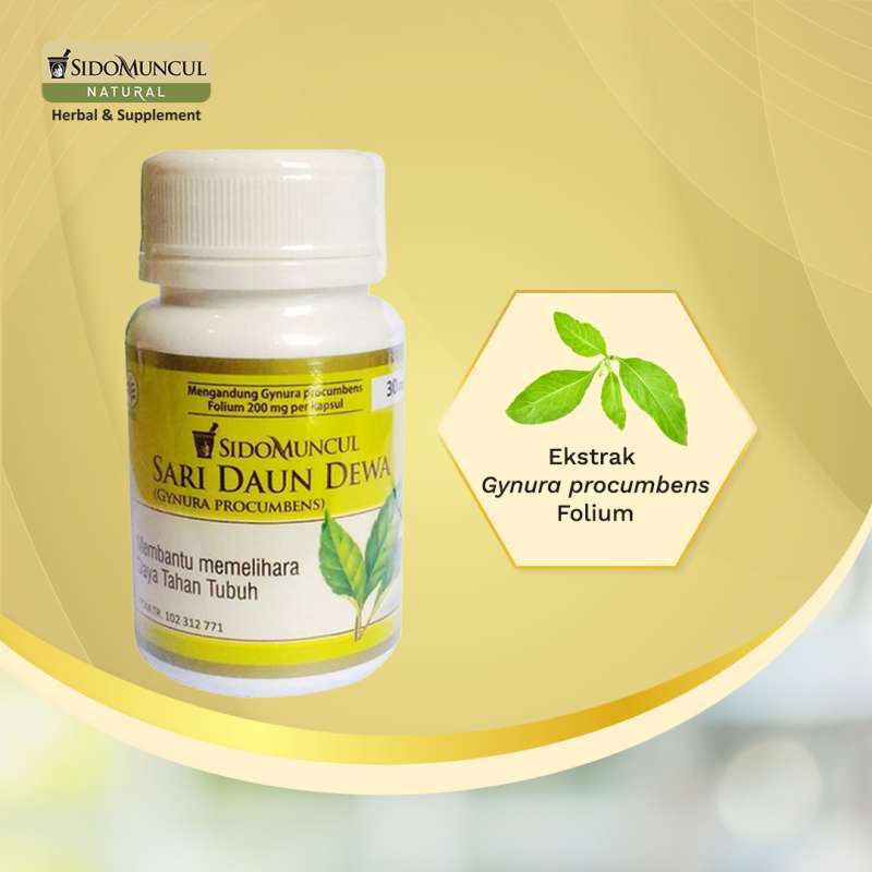 Promo Sido Muncul Natural Sari Daun Dewa 30 Kapsul Diskon 13% Di Seller ...