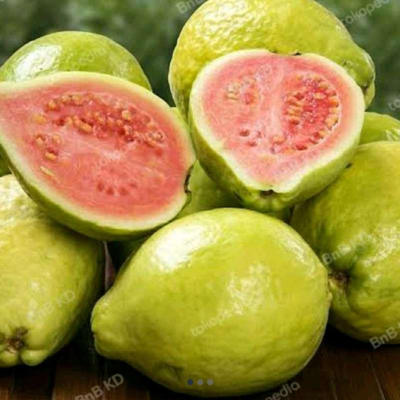 Jambu Biji Merah Kg Gratis Ongkir 🔥 Harga Murah Mei 2026