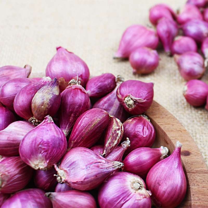 Jual Bawang Merah Reguler 1 Kg Termurah - Harga Grosir Terupdate Hari ...