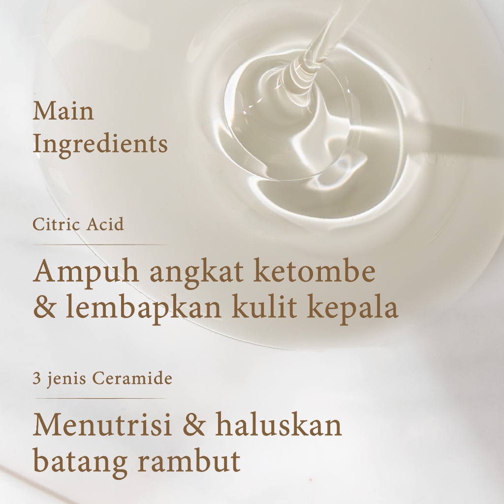 Promo Miss Daisy Shampoo Peony & Amber 500ml Diskon 10% Di Seller Miss ...