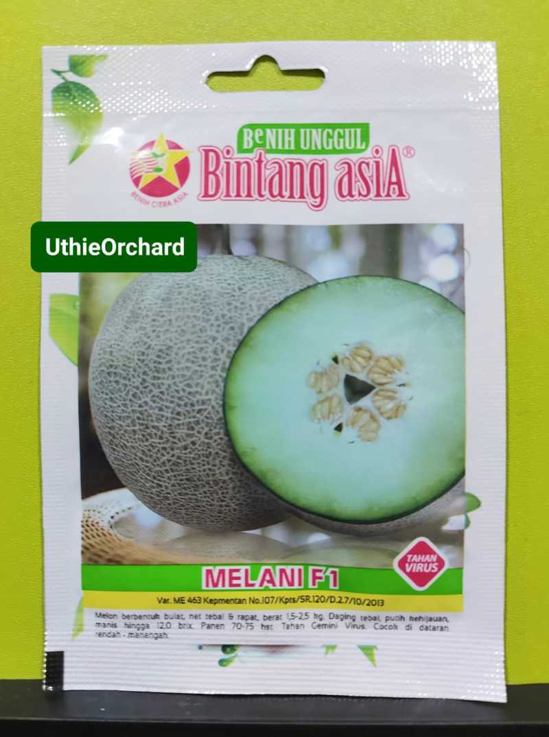 Jual Melon Bintang Asia Original Murah - Harga Diskon Juni 2024 ...