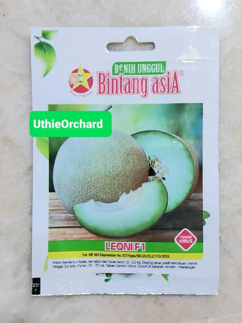 Jual Melon Bintang Asia Original Murah - Harga Diskon Juni 2024 ...