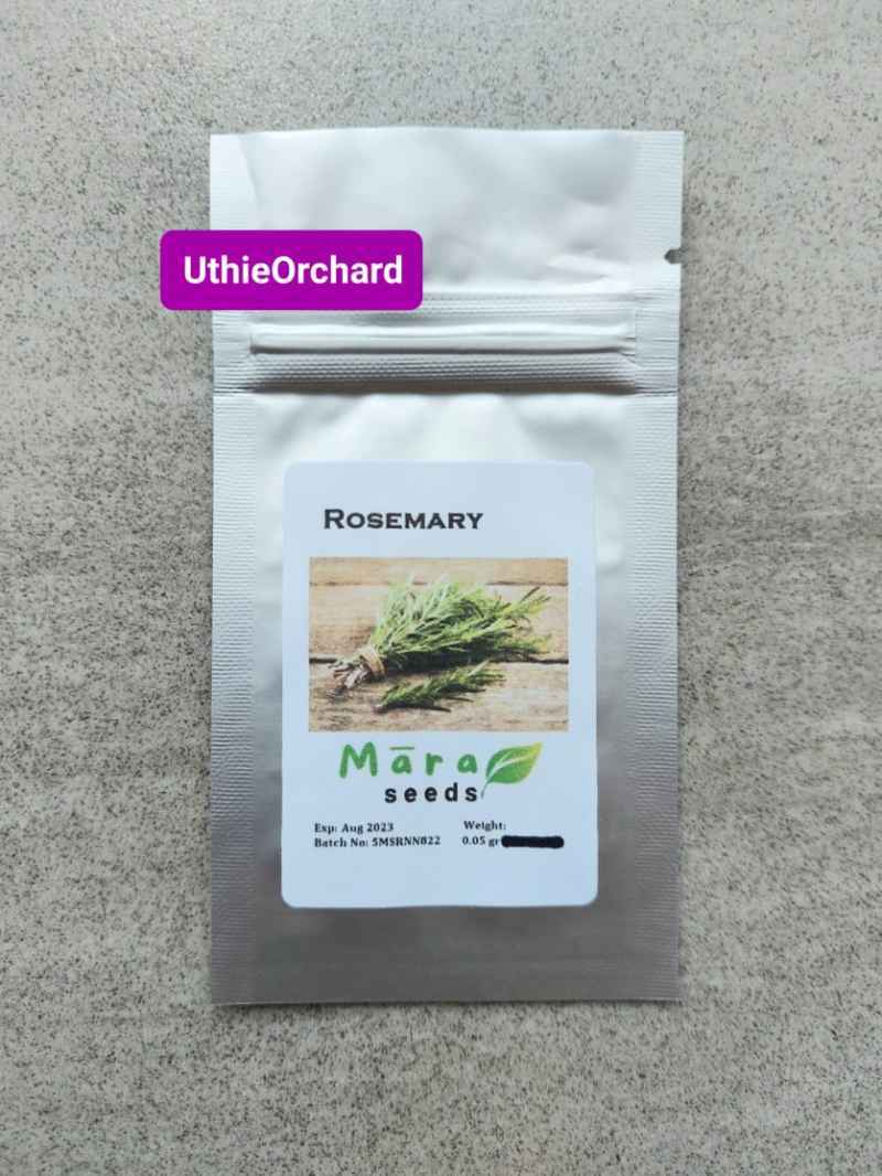 Jual Mara Seeds Terbaru April 2024 100% Original – Official Store ...