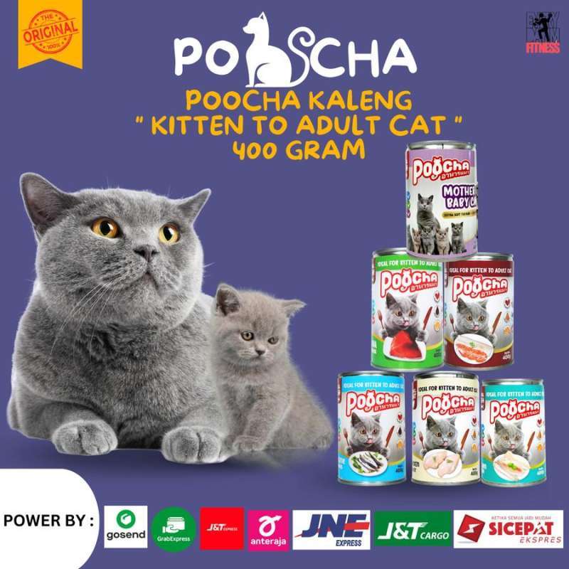 Jual Poocha Kaleng 400gr 400 Gr Gram Makanan Kucing Basah - Skipjack Di ...