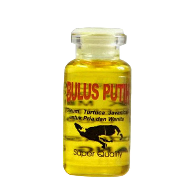 Minyak Bulus - Harga Termurah Juli 2024 | Blibli
