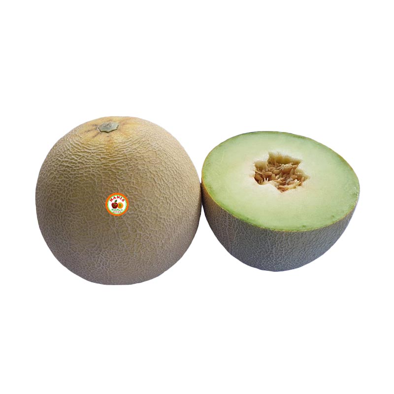 Jual Duta Buah Melon Sky Rocket [1.5 - 2.5 Kg/ Pcs] Halal Di Seller ...