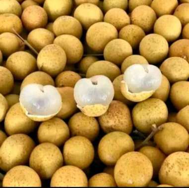 Jual Lengkeng Bangkok 1 Kg Terbaru - Harga Promo Desember 2023 | Blibli