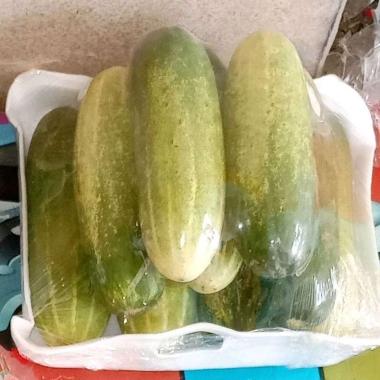 Harga timun 1kg Terbaru Sep 2025 | BigGo Indonesia