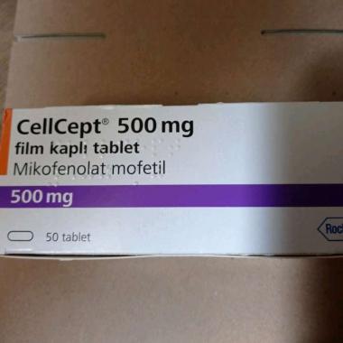 Celcept Box Lengkap Harga Terbaru Juni 2023 | Blibli