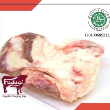 Jual Daging Dengkul Sapi Termurah - Harga Grosir Terupdate Hari Ini ...