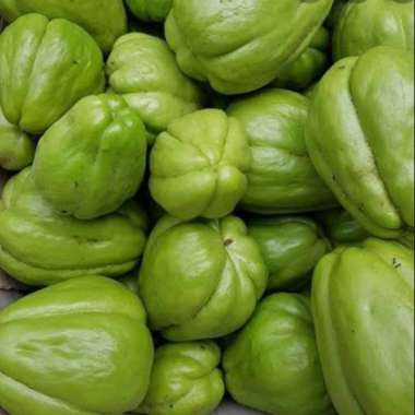 Jual Labu Siam 1 Kg Terbaik Mei 2022 - Harga Murah & Gratis Ongkir - Blibli