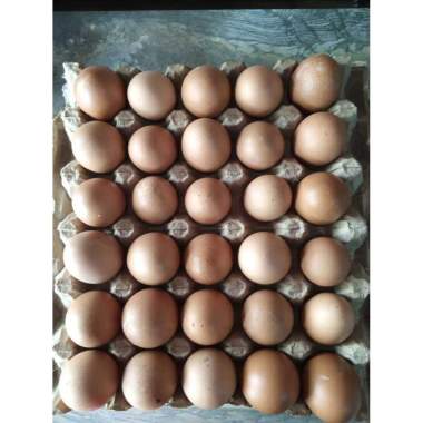 Jual Telur Negeri 1 Butir Terdekat 🏷️ Harga Grosir Murah Terupdate Hari ...
