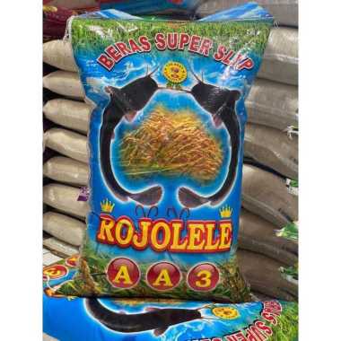 Jual Rojo Lele Bandung Termurah - Harga Grosir Terupdate Hari Ini | Blibli