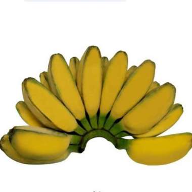 Pisang Kepok Per Kg Gratis Ongkir 🔥 Harga Murah Juni 2026