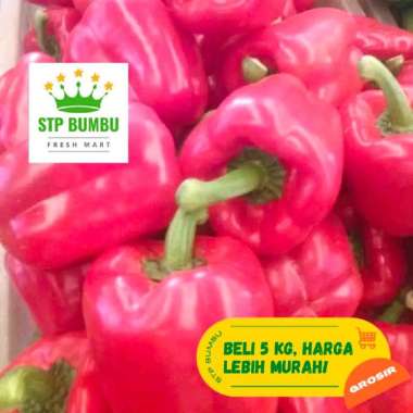 Jual Paprika Merah Per 1 Kg Original Murah - Harga Diskon Juni 2023 ...
