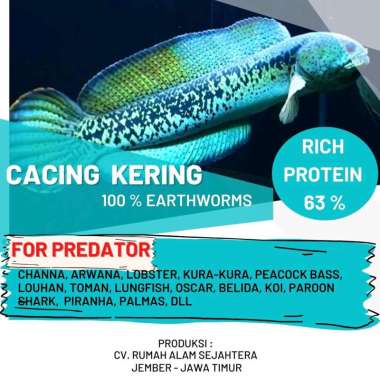 Jual Cacing Kering Untuk Pakan Ikan Predator Terbaru April 2023 100% ...