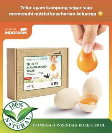 Telur Omega 1 Peti Gratis Ongkir 🔥 Harga Murah Juni 2026