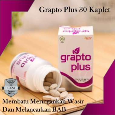 Jual Daun Binahong Surabaya - Gratis Ongkir & Harga Murah 2023 | Blibli