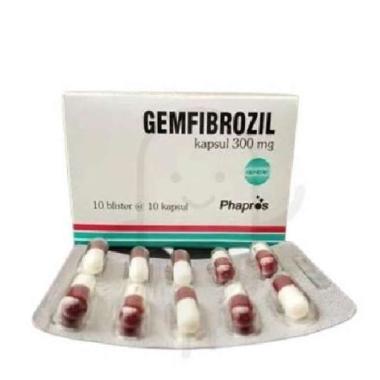 Gemfibrozil 600 Lengkap Harga Terbaru Mei 2023 | Blibli