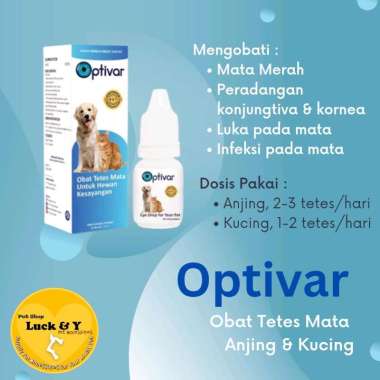 Jual Obat Tetes Mata Anjing Original Murah - Harga Diskon Januari 2024 ...