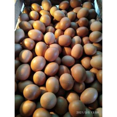 Jual Telur Ayam Negeri [1 Kg] di Seller Sembakokuaja - Kota Tangerang ...