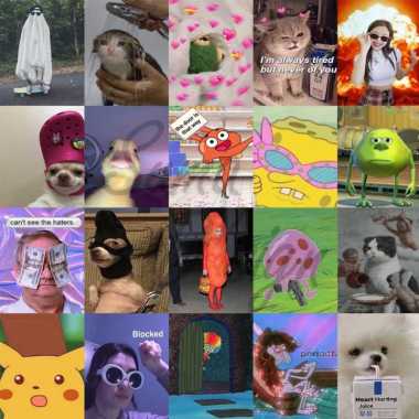 Jual Aesthetic Meme Original Murah - Harga Diskon Oktober 2023 | Blibli.com