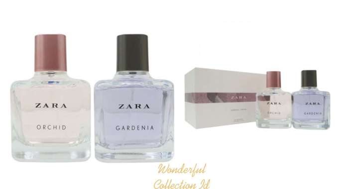 Zara Women Orchid Lengkap Harga Terbaru November 2022 | Blibli