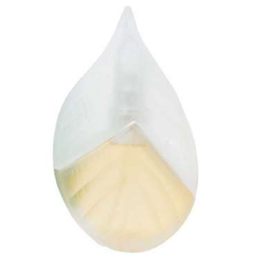 Kenzo Daun Parfum Lengkap Harga Terbaru Desember 2022 | Blibli